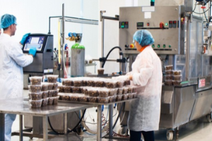 Portable Vehicle Weigh Pads - MWS Weighing Solutions