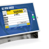 Three Main Types of Weighing Scales and Their Uses