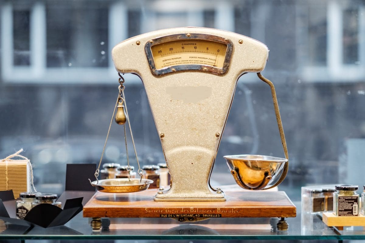 Three Main Types of Weighing Scales and Their Uses