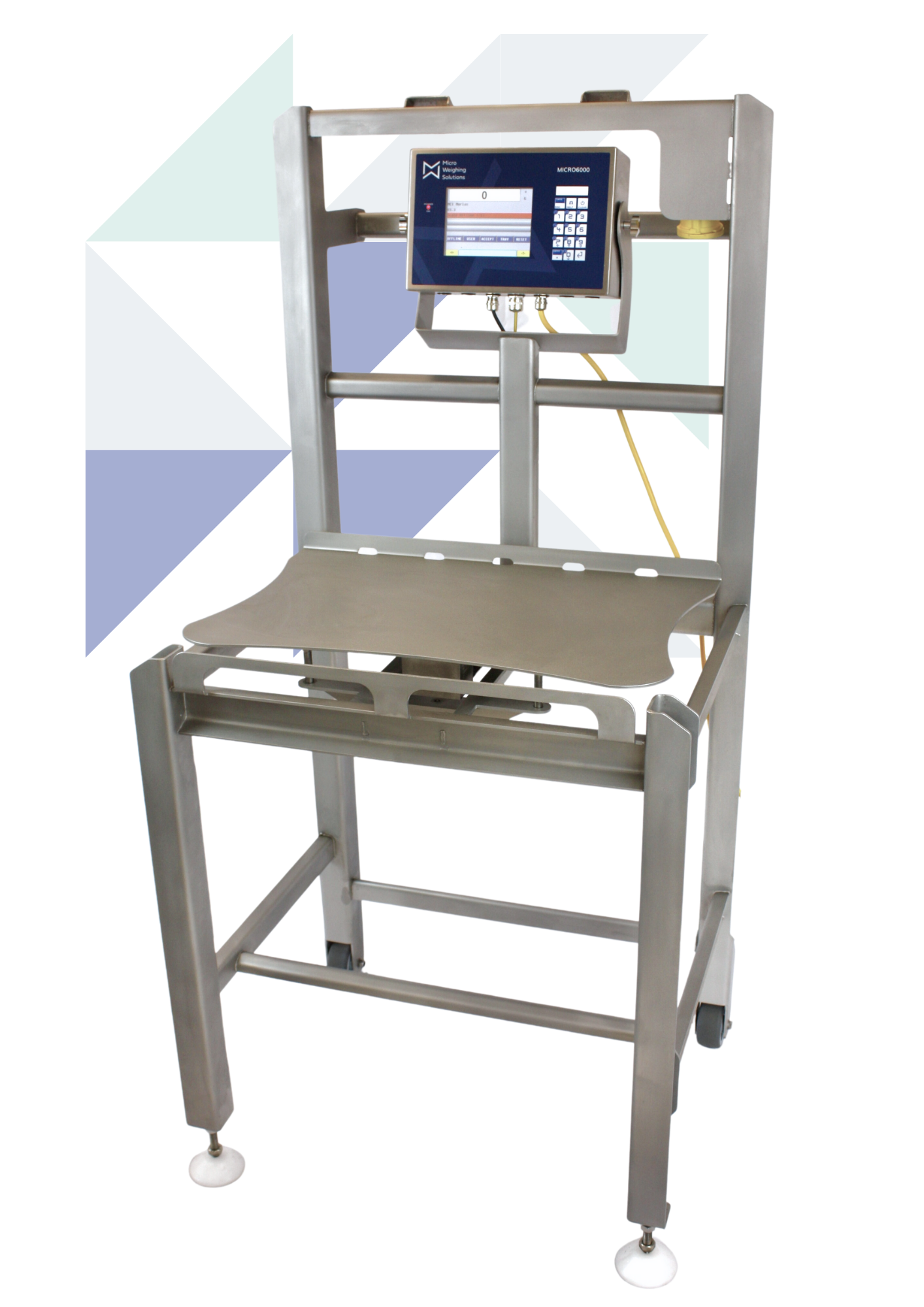 Case study: MWS Helps FMCG Save Money on 300 Scales