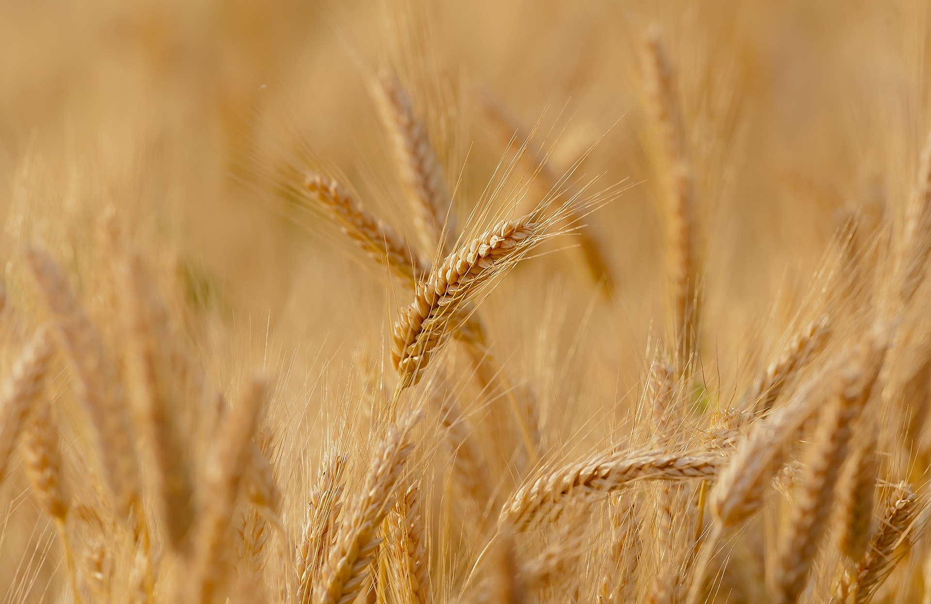 Weetabix Marvels at New 100% Fully Recyclable Packaging