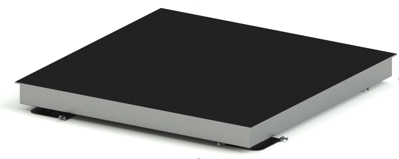 DFS Stainless Steel Pit Scale - MWS Weighing Solutions