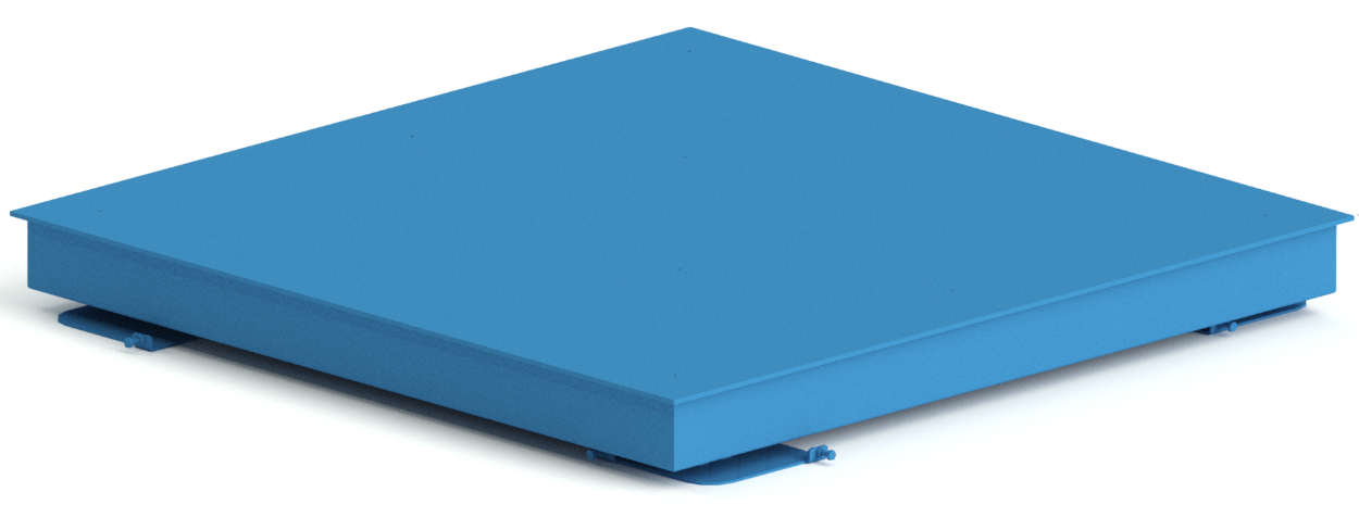 DFM Mild Steel Pit Scale - MWS Weighing Solutions